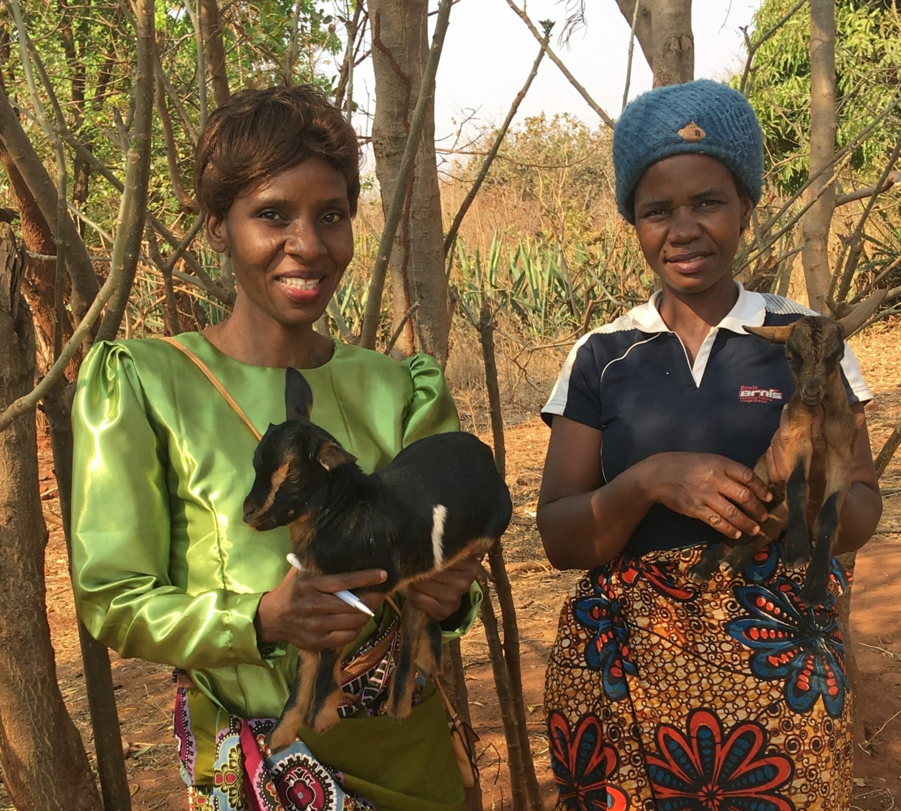 Vammaisten henkilöiden demokratian, oikeuksien ja inkluusion ...
